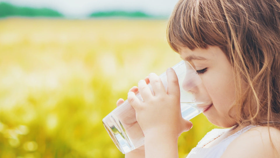 Plumbul din Apa Potabila si Efectele lui asupra Sanatatii Umane